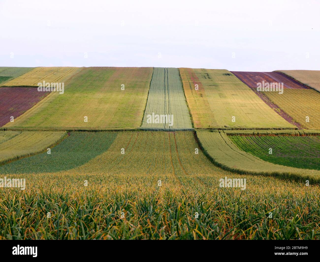 Landscape in Lesser Poland near Slomniki and Miechow Stock Photo - Alamy