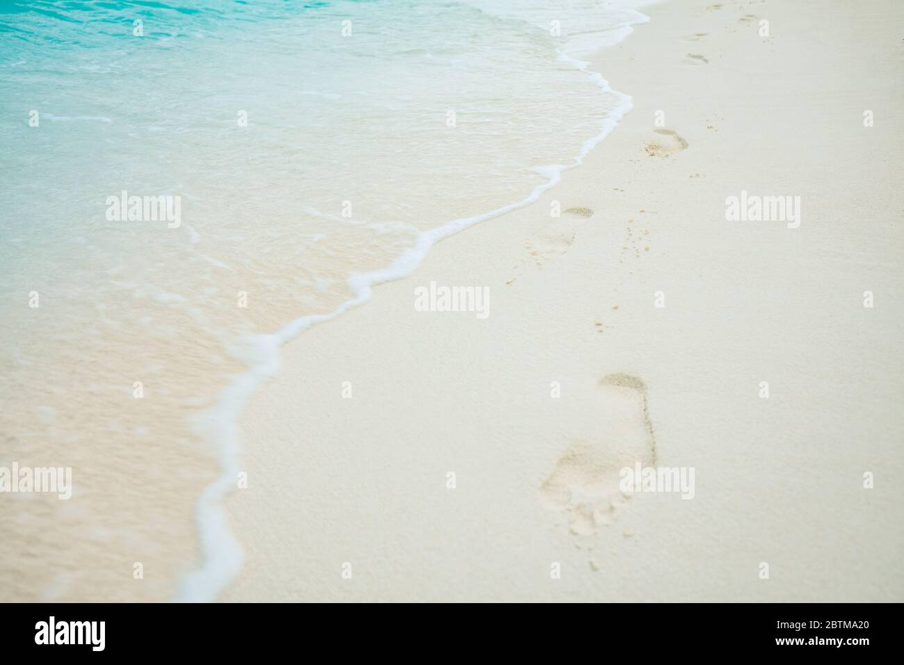 Landscape Sea Beach Footprints Footprint Sand Footprints Hi Res Stock