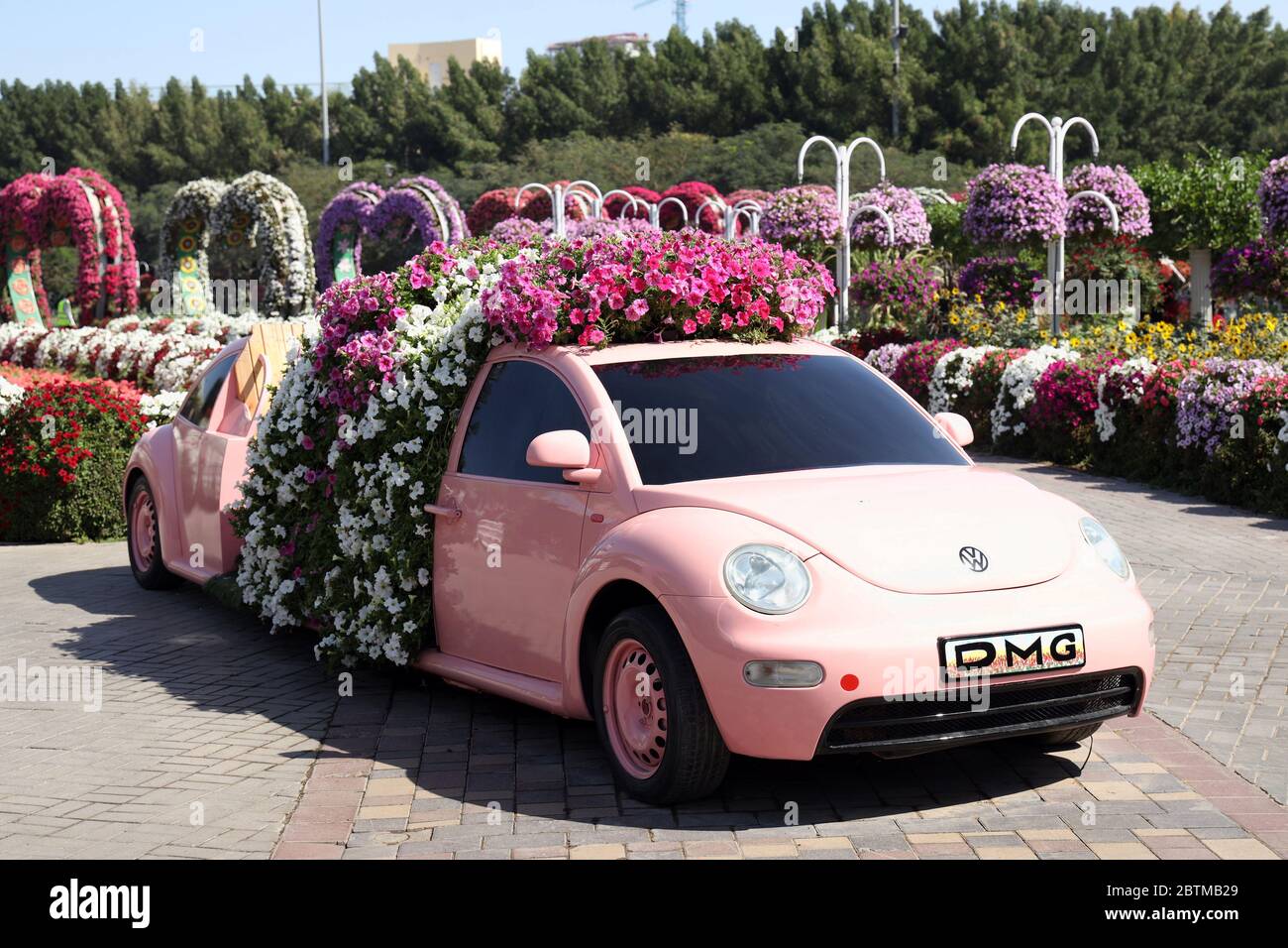 Dubai miracle garden wall flowers hi-res stock photography and images ...