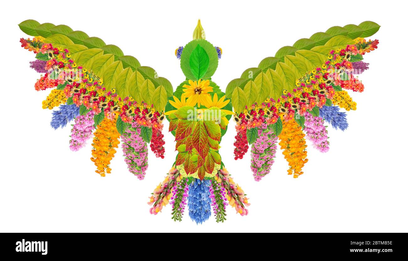 Abstract collage floral flowers plants hi-res stock photography and ...