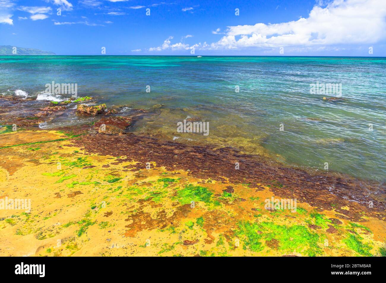 Hawaiian landscape. Hawaii, Turtle Beach on Oahu island, United States ...