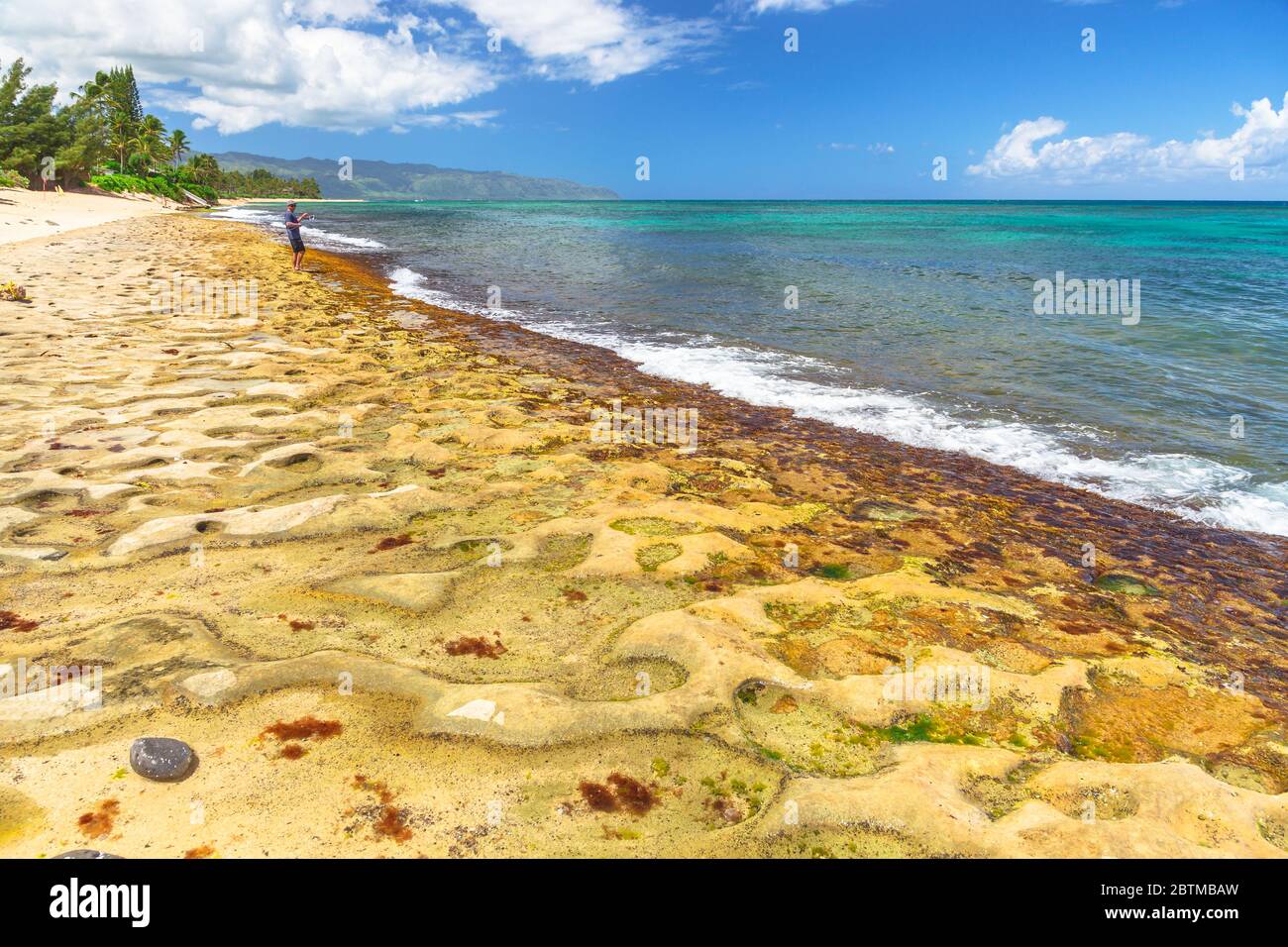 Hawaii, Turtle Beach on Oahu island, United States. The famous Green ...