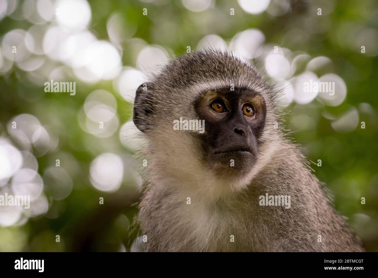 Ethekwini hi-res stock photography and images - Alamy