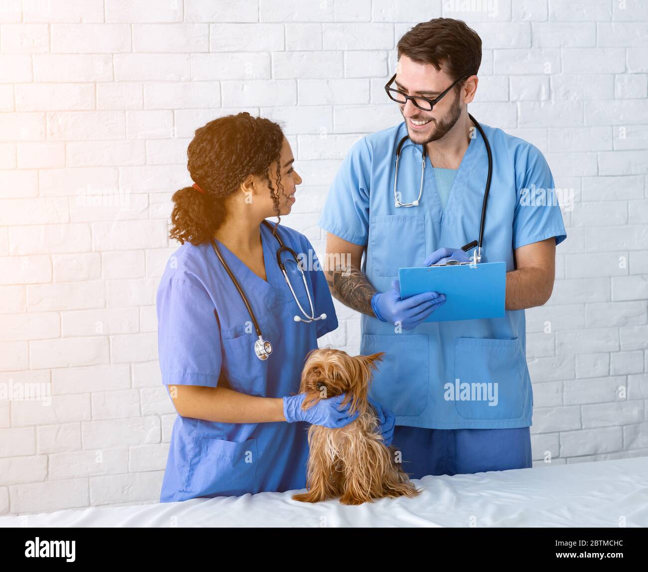 Male vet doctor advising with young nurse about little patient at ...