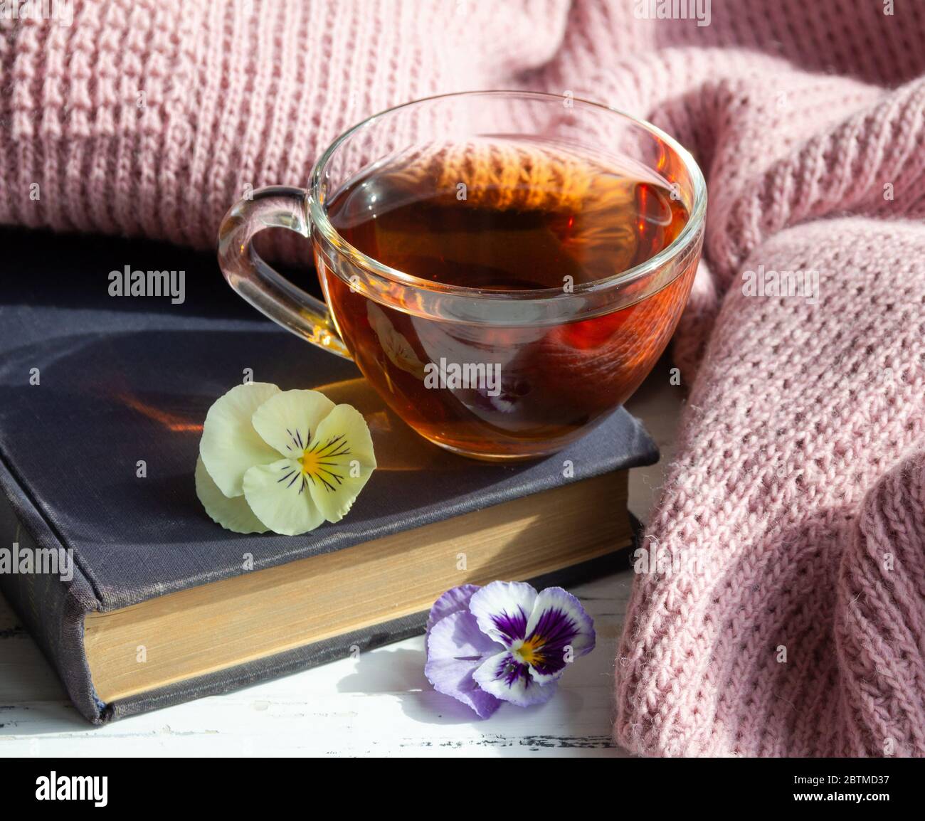 Concept cozy book hi-res stock photography and images - Alamy