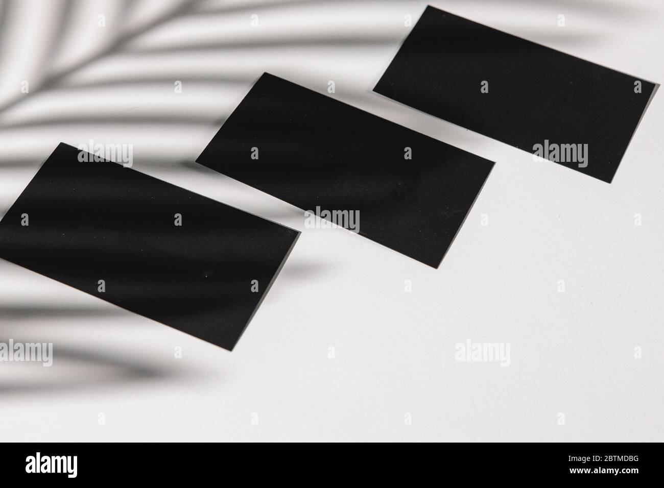 Business card on paper background with foliage shadow Stock Photo - Alamy