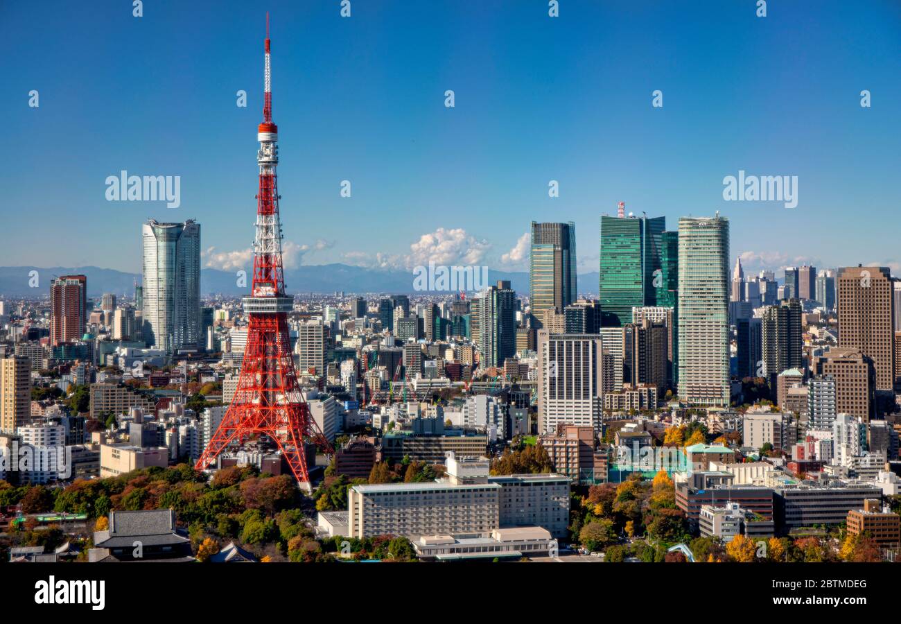 Japan ,Tokyo City, Minato Ku skyline, Tokyo Tower Stock Photo - Alamy