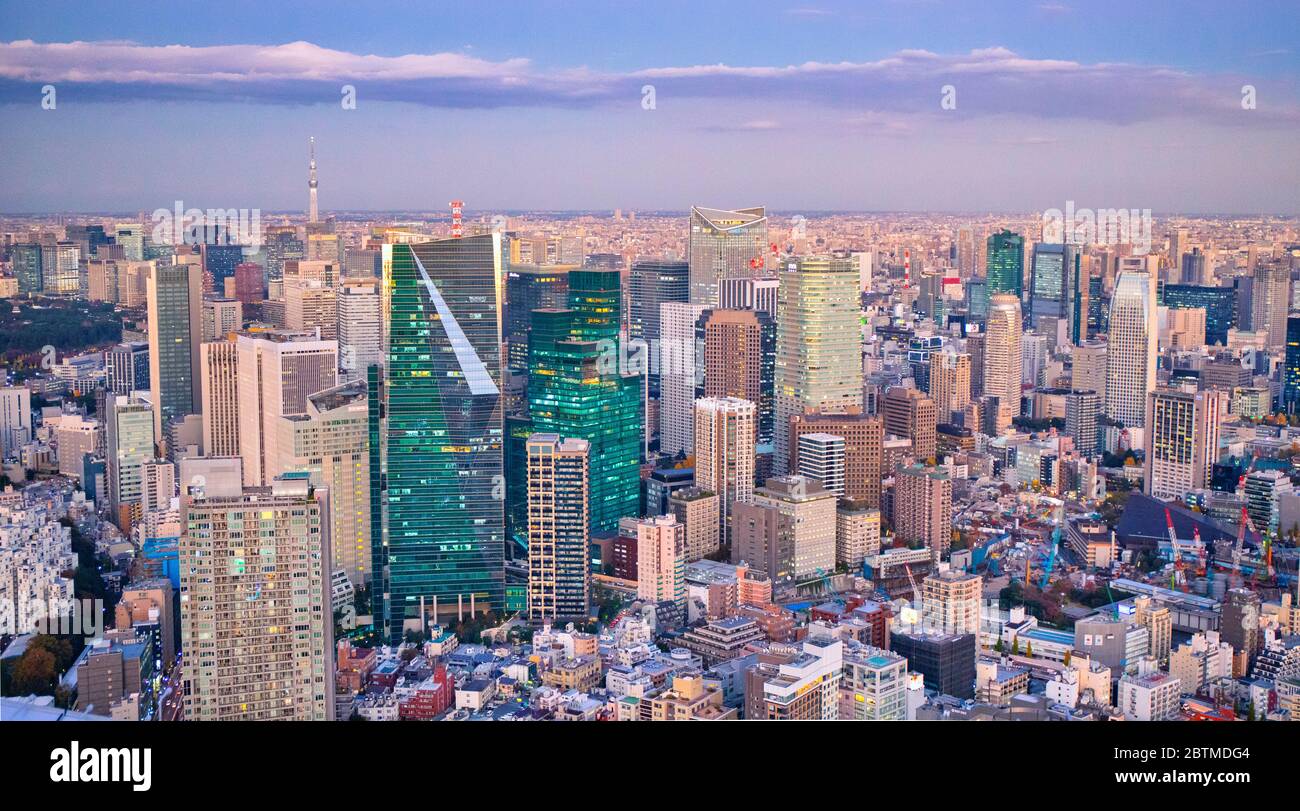 Japan ,Tokyo City, Minato Ku skyline Stock Photo - Alamy