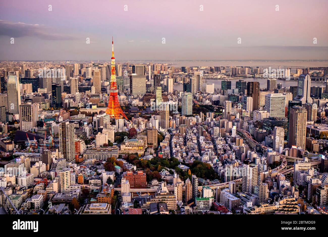 Japan ,Tokyo City, Minato Ku skyline, Tokyo Tower Stock Photo - Alamy