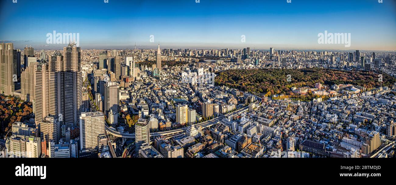 Japan ,Tokyo City, General view of central Tokyo Stock Photo - Alamy