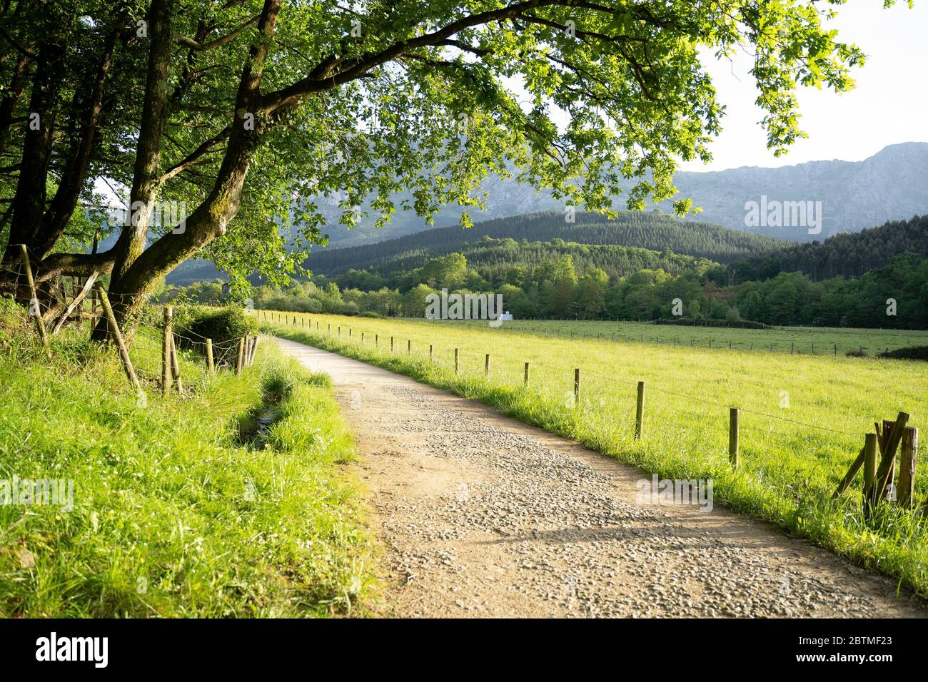 gravel road in the basque countryside, northern spain Stock Photo - Alamy