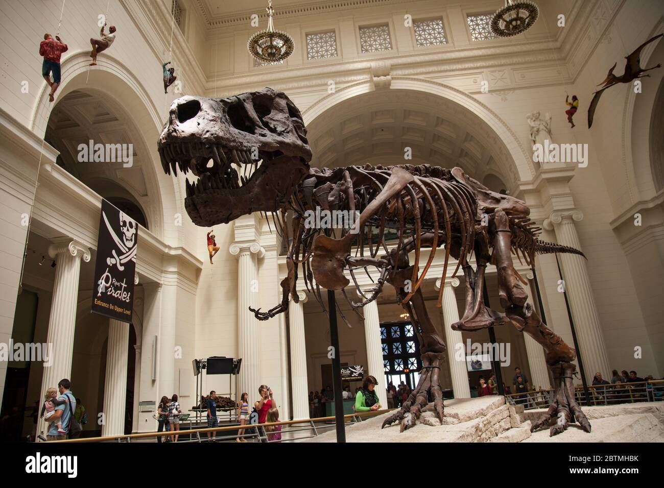 Horizontal view of Sue (Tyrannosaurus Rex) skeleton at the Field Museum ...