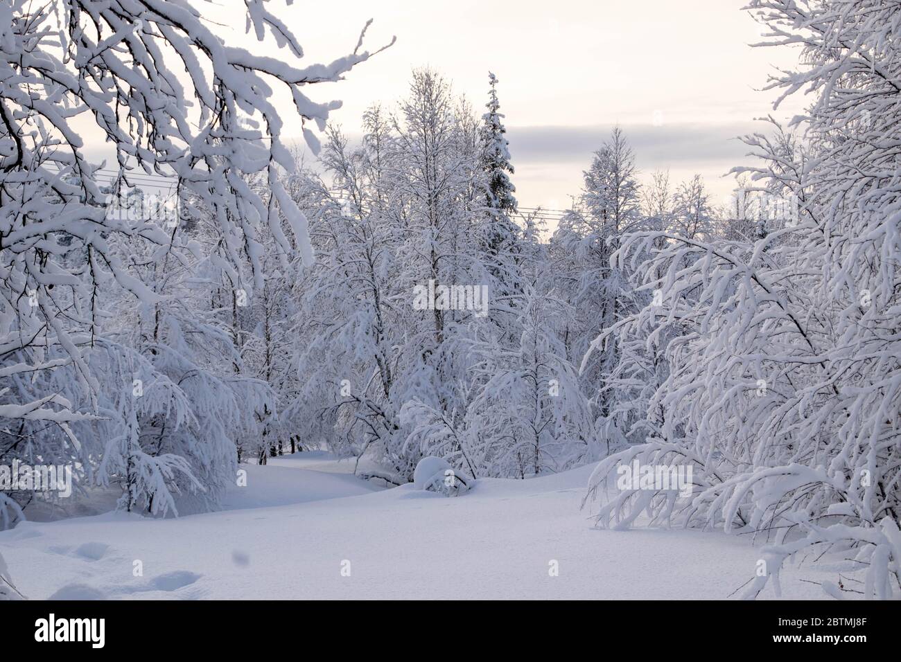 Lapland winter wonderland hi-res stock photography and images - Alamy