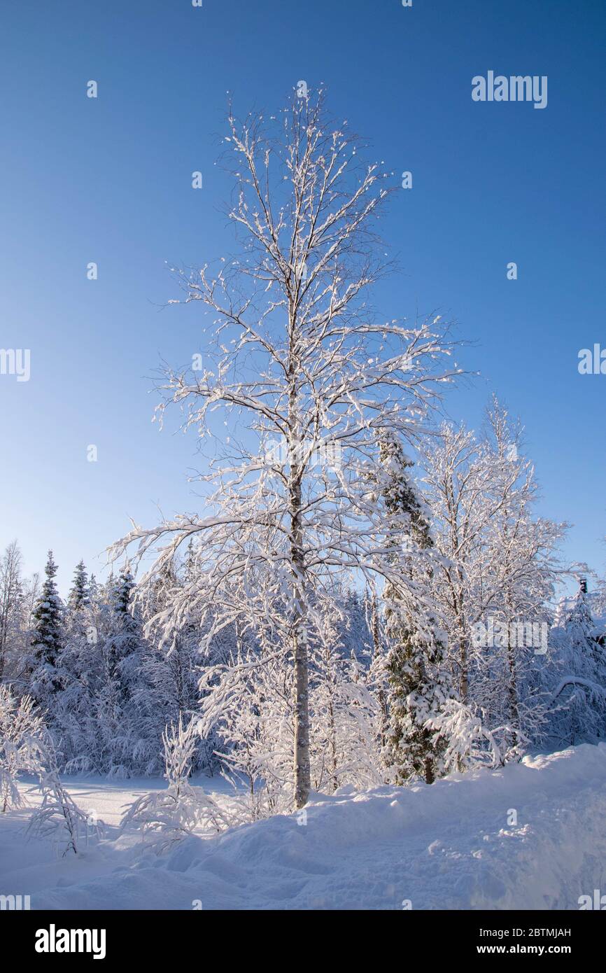 Snowy landscape bright blue sky hi-res stock photography and images - Alamy