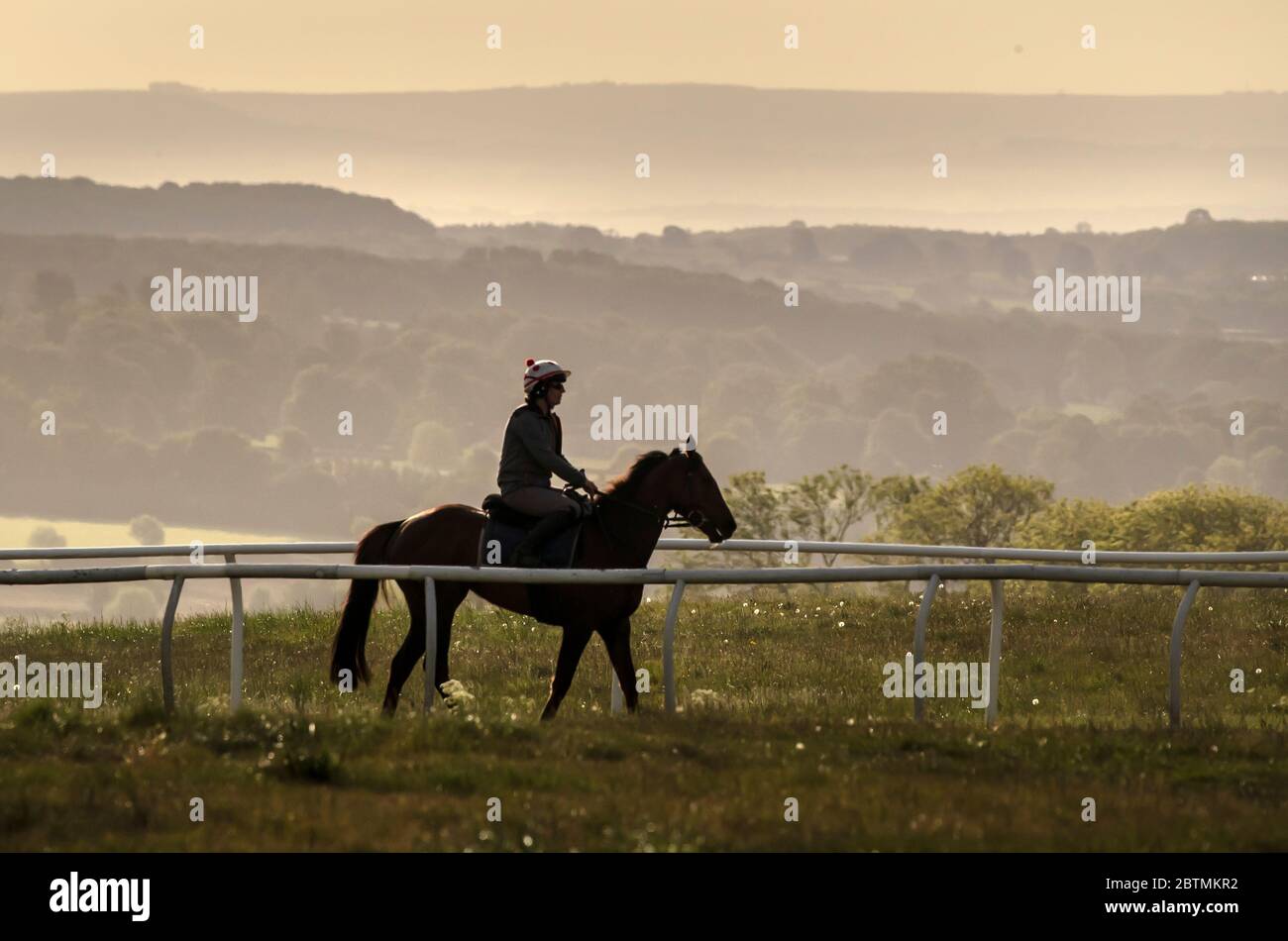 Middleham horse hi-res stock photography and images - Alamy