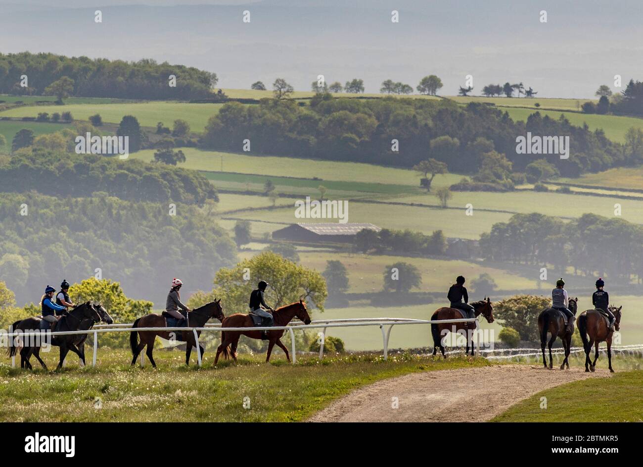 Racehorses on the gallops at middleham hi-res stock photography and ...
