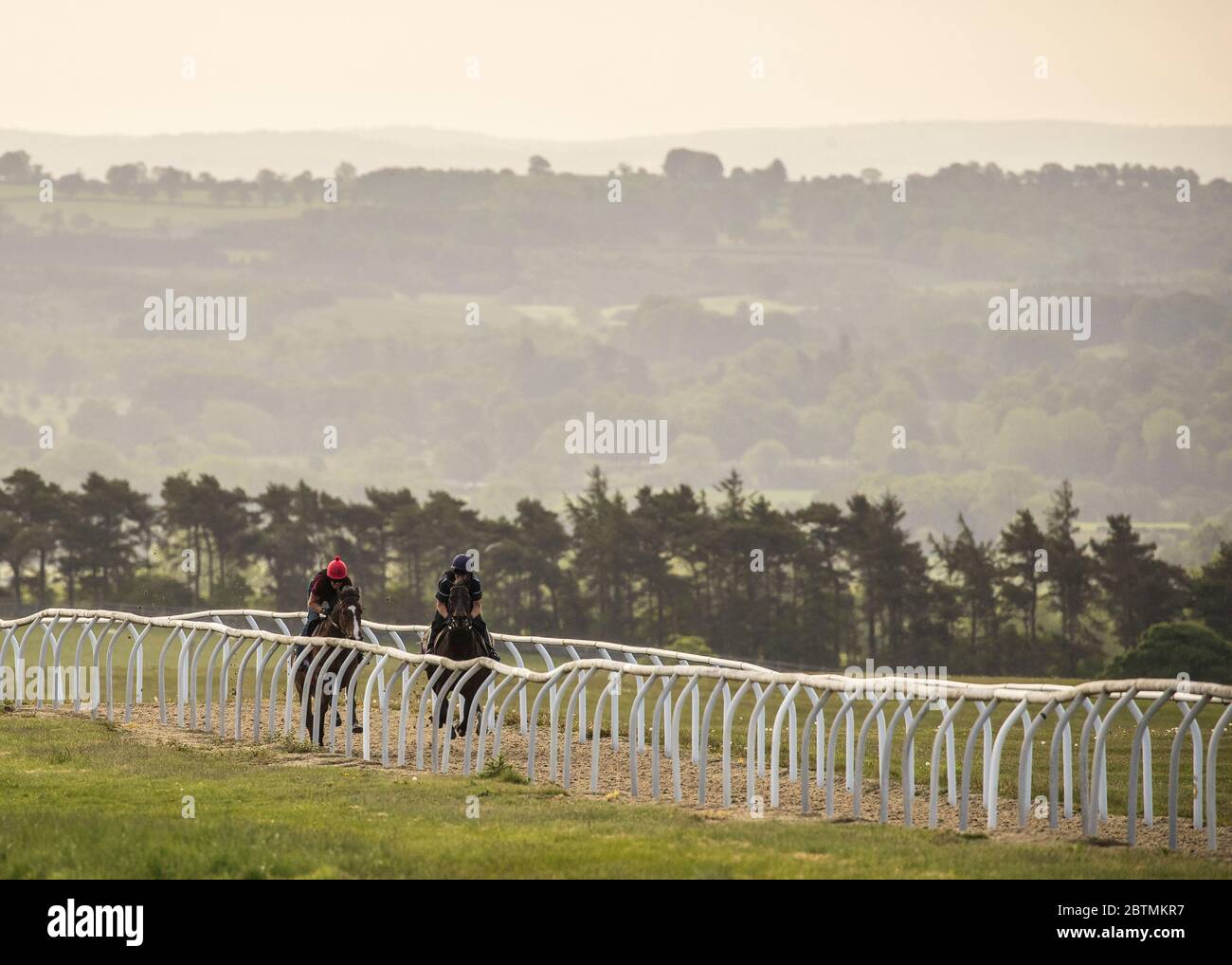 Racehorses on the gallops in Middleham Stock Photo - Alamy