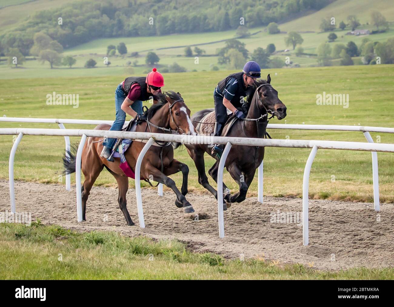 Racehorses on the gallops in Middleham Stock Photo - Alamy