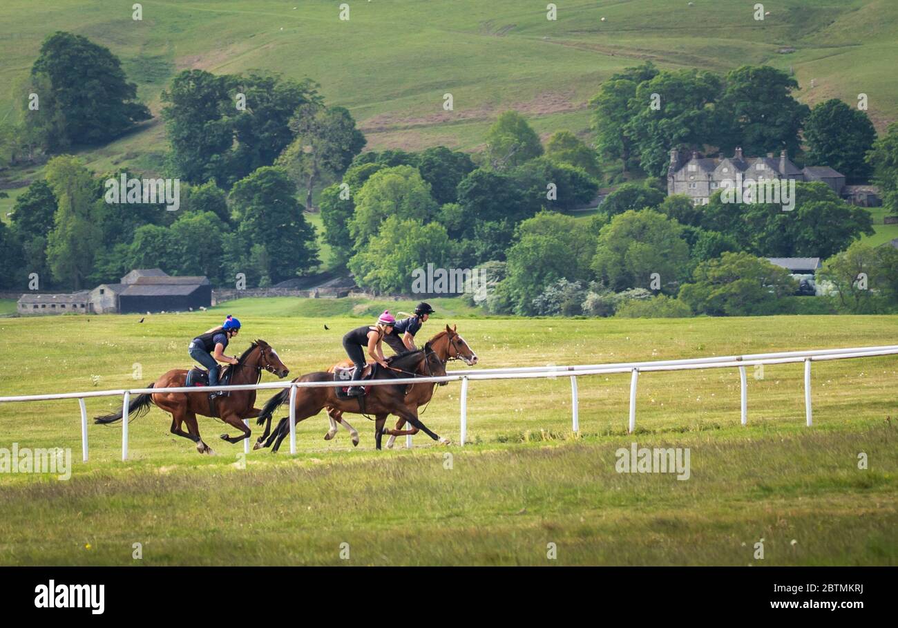 Racehorses on the gallops in Middleham Stock Photo - Alamy