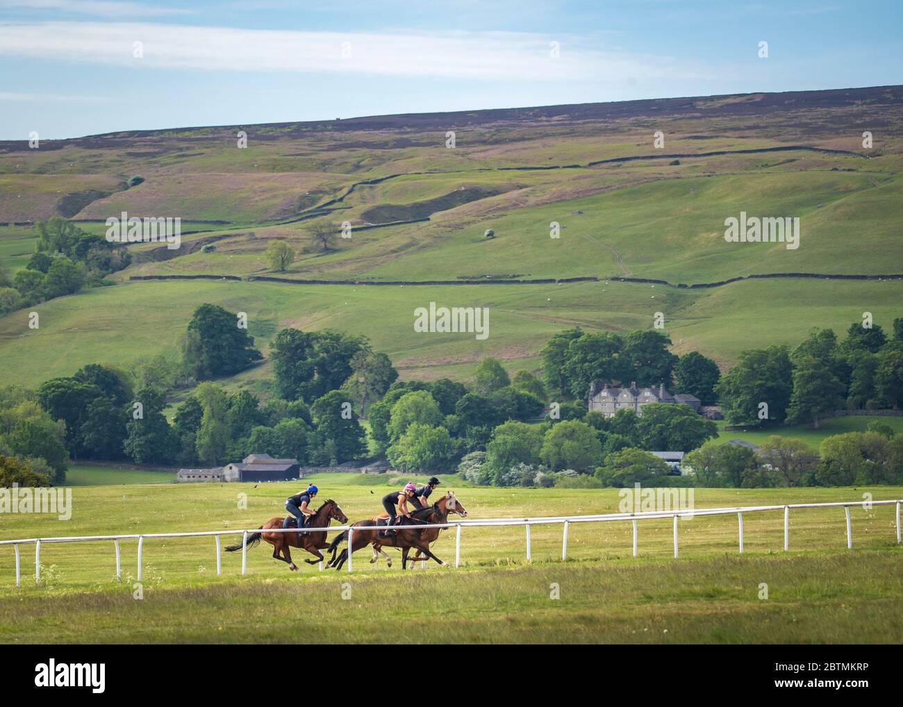 Middleham gallops hi-res stock photography and images - Alamy
