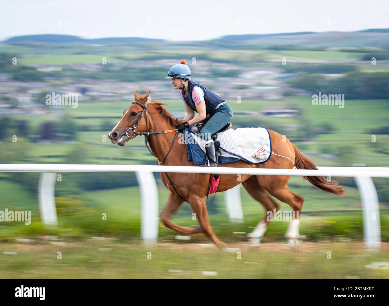 Middleham horse hi-res stock photography and images - Alamy