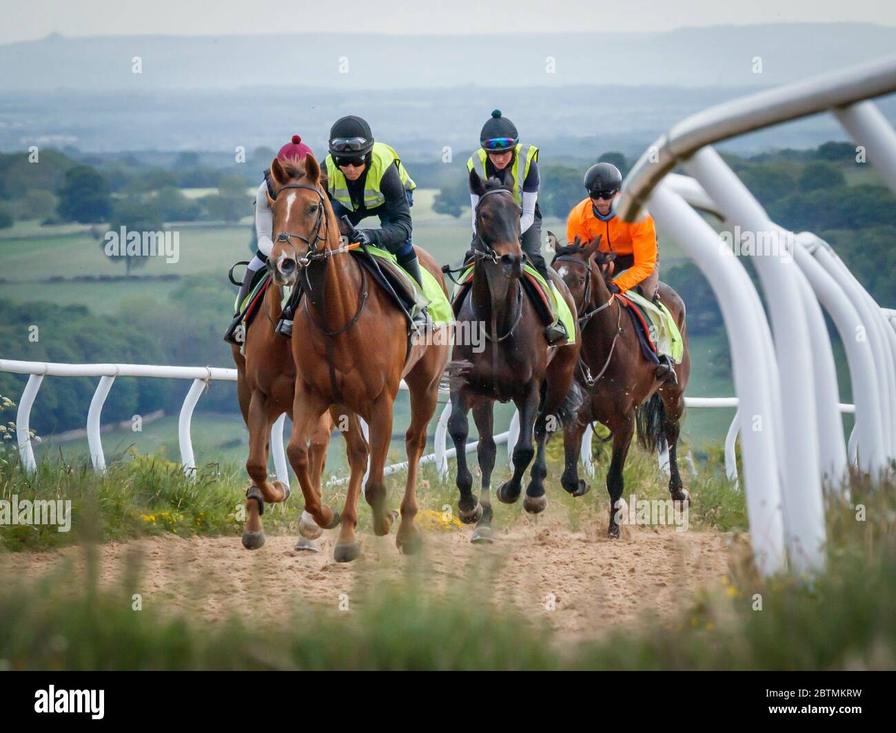 Racehorses on the gallops in Middleham Stock Photo - Alamy
