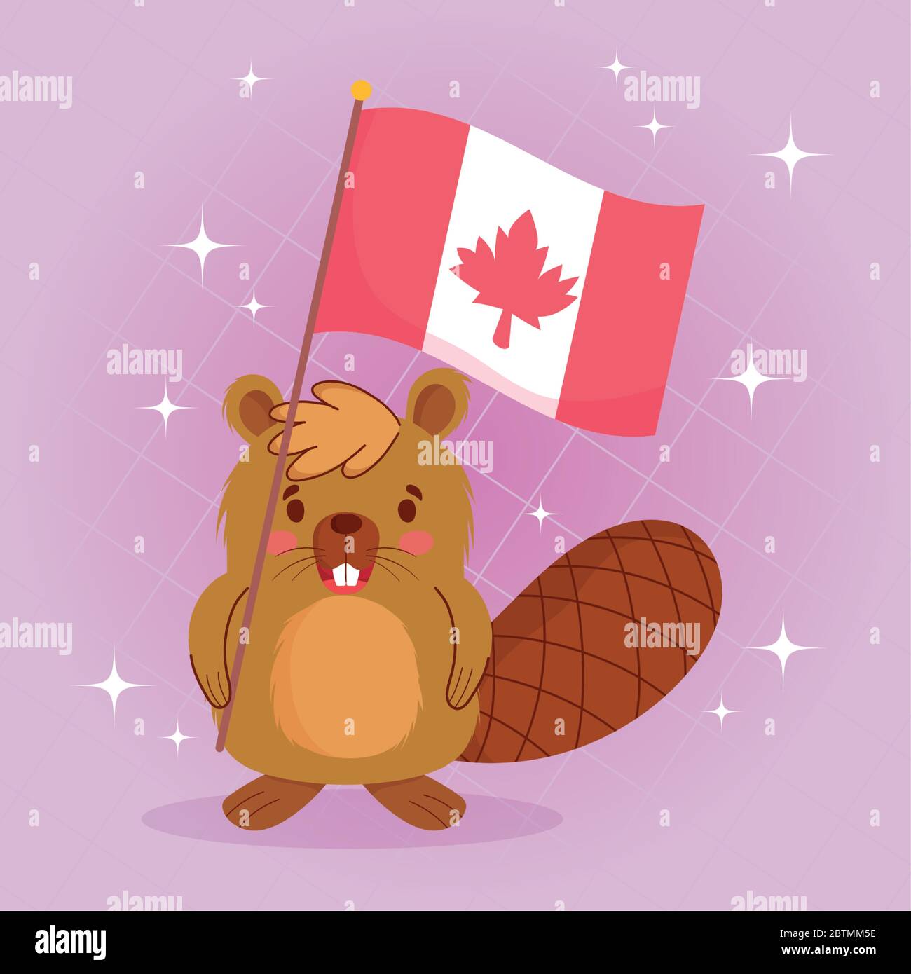 Beaver with canadian flag design, Happy canada day holiday and national ...