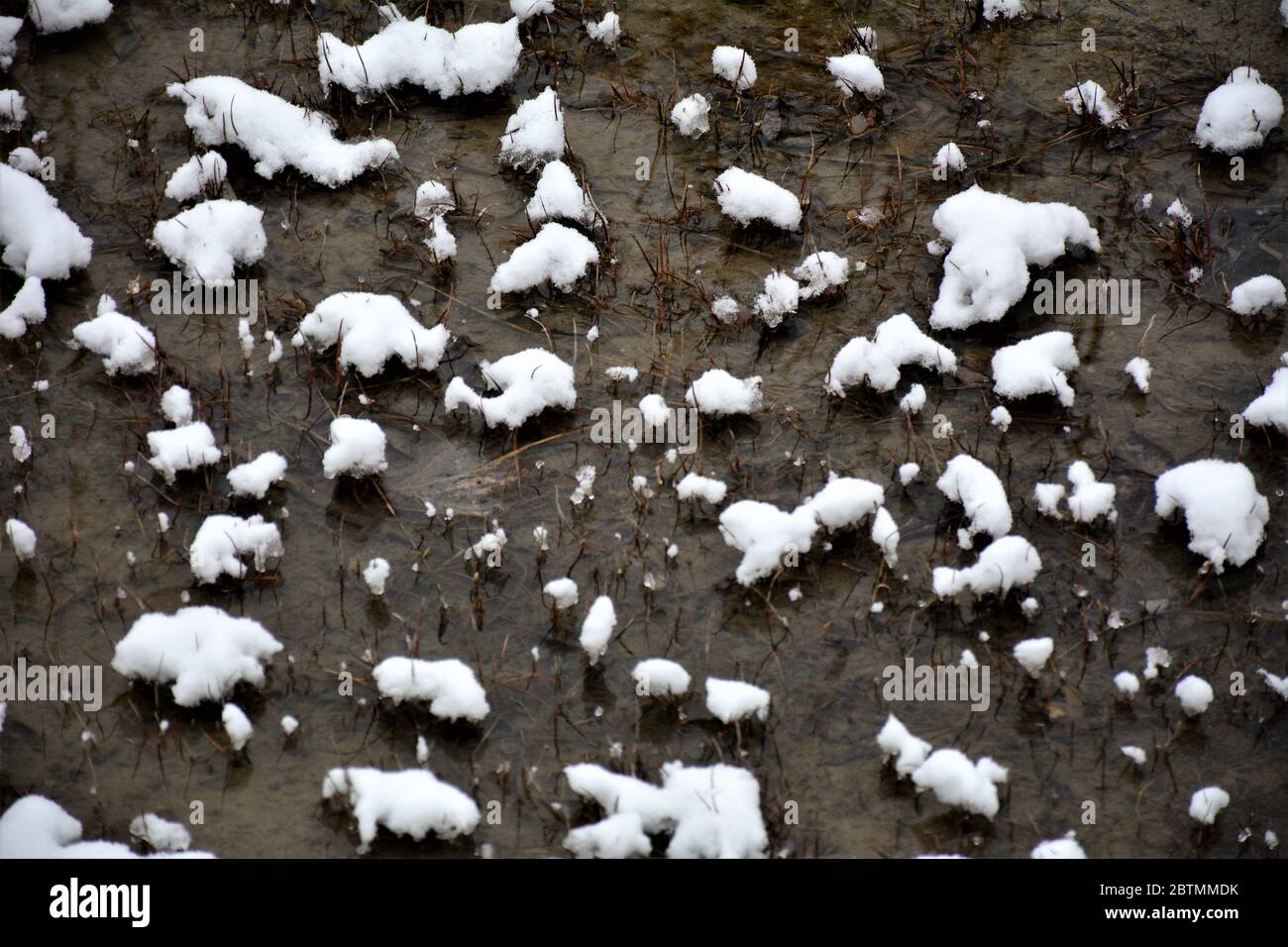 Melted puddle hi-res stock photography and images - Alamy