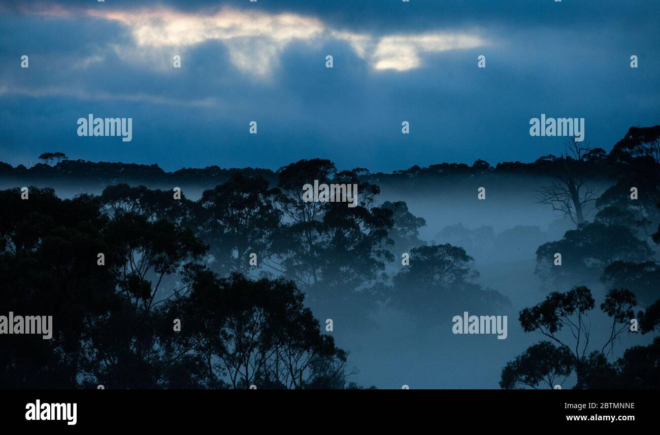 Otways victoria hi-res stock photography and images - Alamy