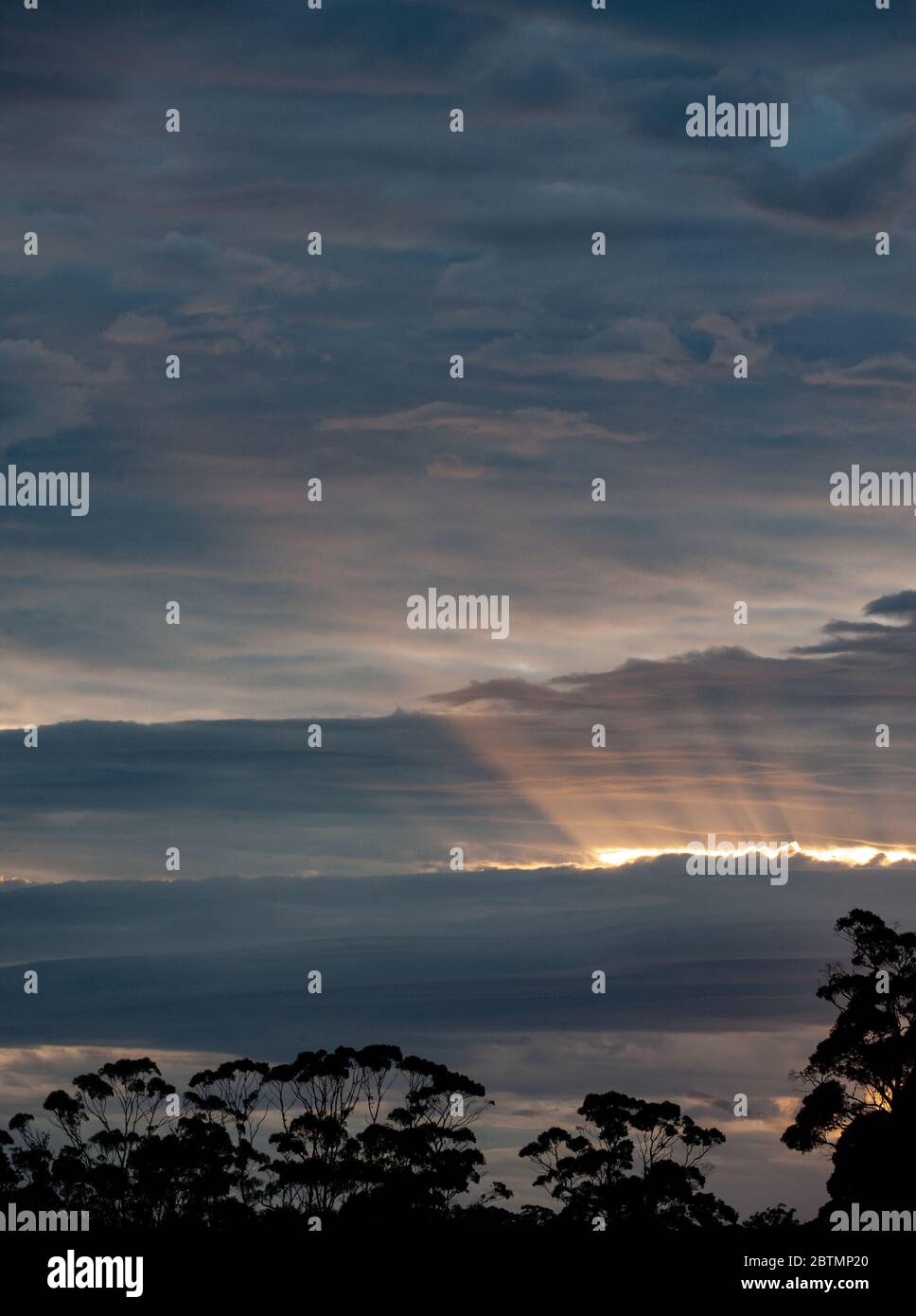 Otways victoria hi-res stock photography and images - Alamy