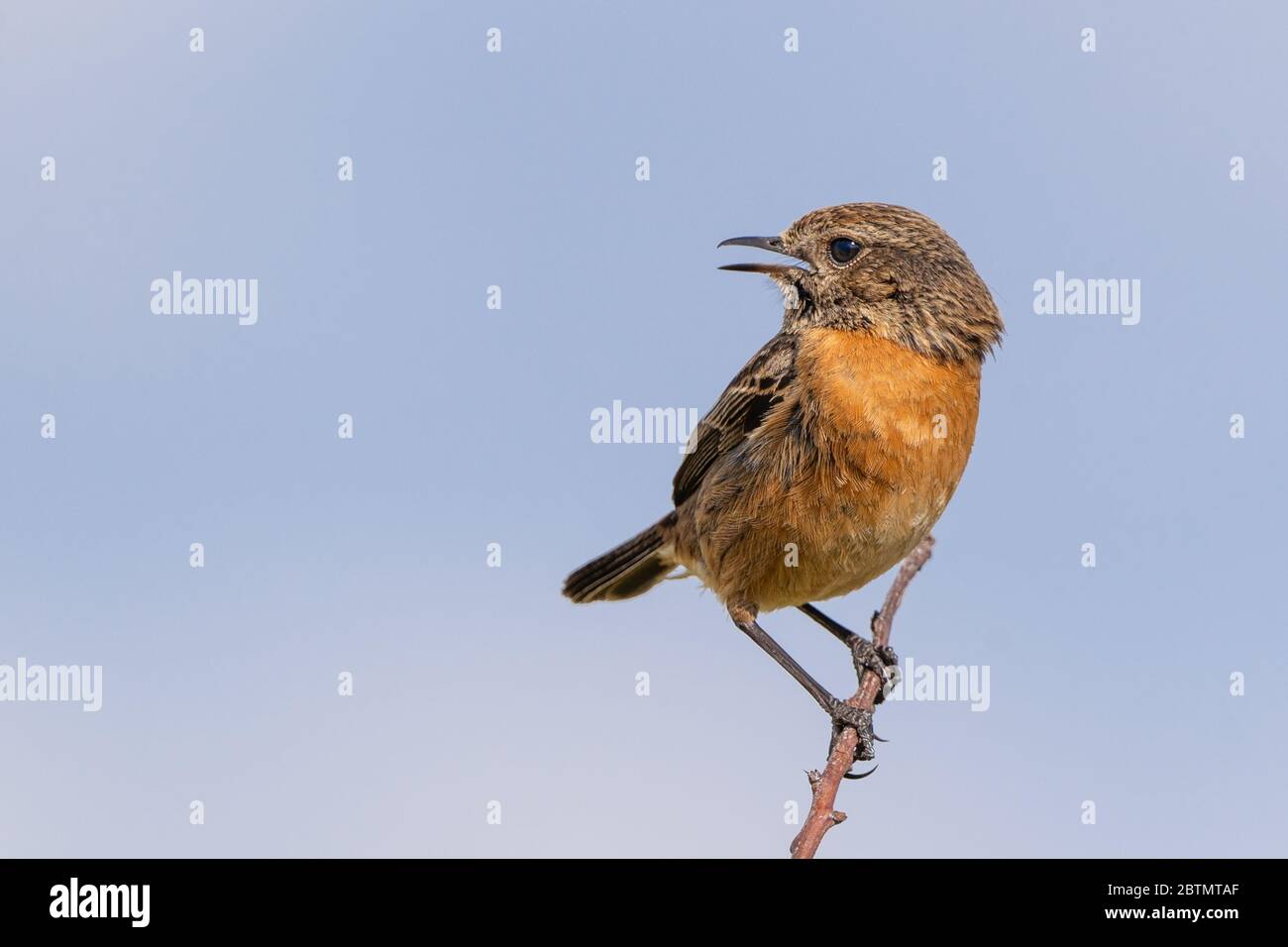 Sandscale hi-res stock photography and images - Alamy