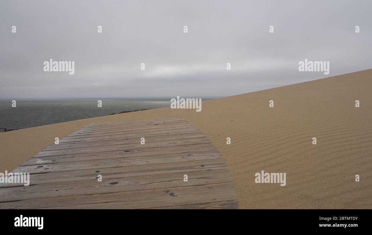 Curonian Spit sand dunes in Nida, Lithuania on the Baltic sea ...