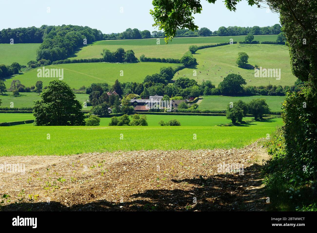 Farm meadows hi-res stock photography and images - Alamy