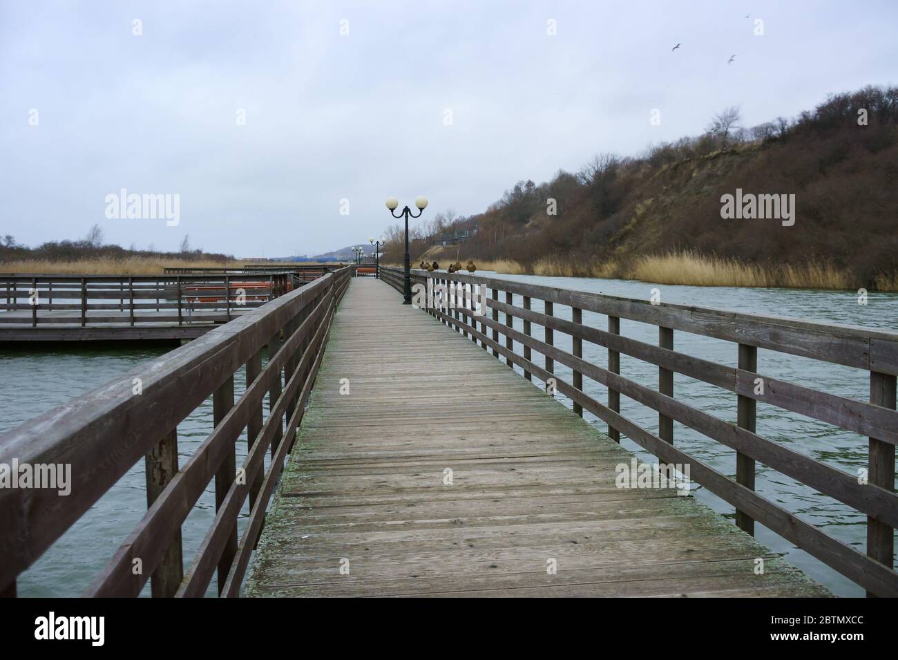 Walk Way Boardwalk Path Nature High Resolution Stock Photography and ...