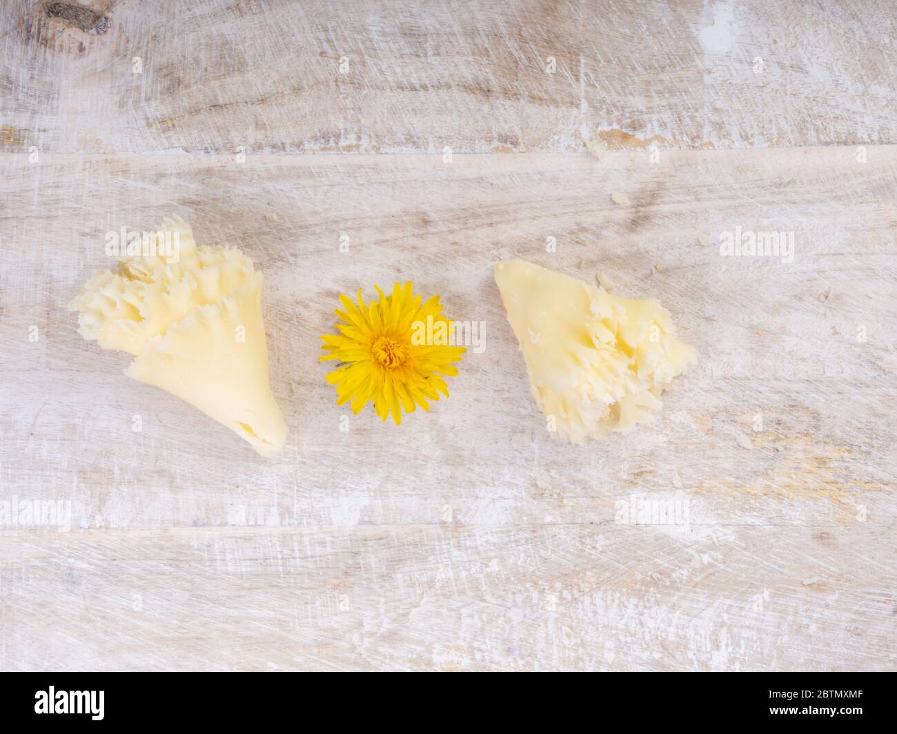 Swiss cheese Tete de Moine or monastery monk's head, scraped with a ...