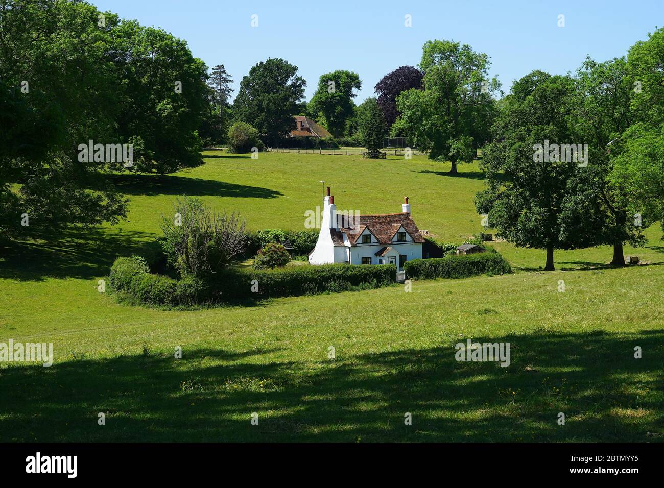 Lee clump hi-res stock photography and images - Alamy