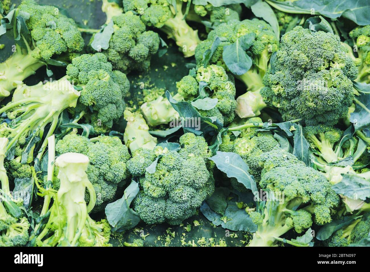 Banner of fresh broccoli on the counter in a supermarket, market ...