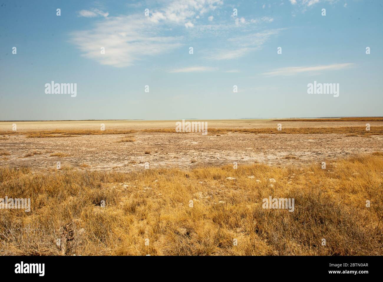 Desert landscape Etosha, Namibia Stock Photo - Alamy