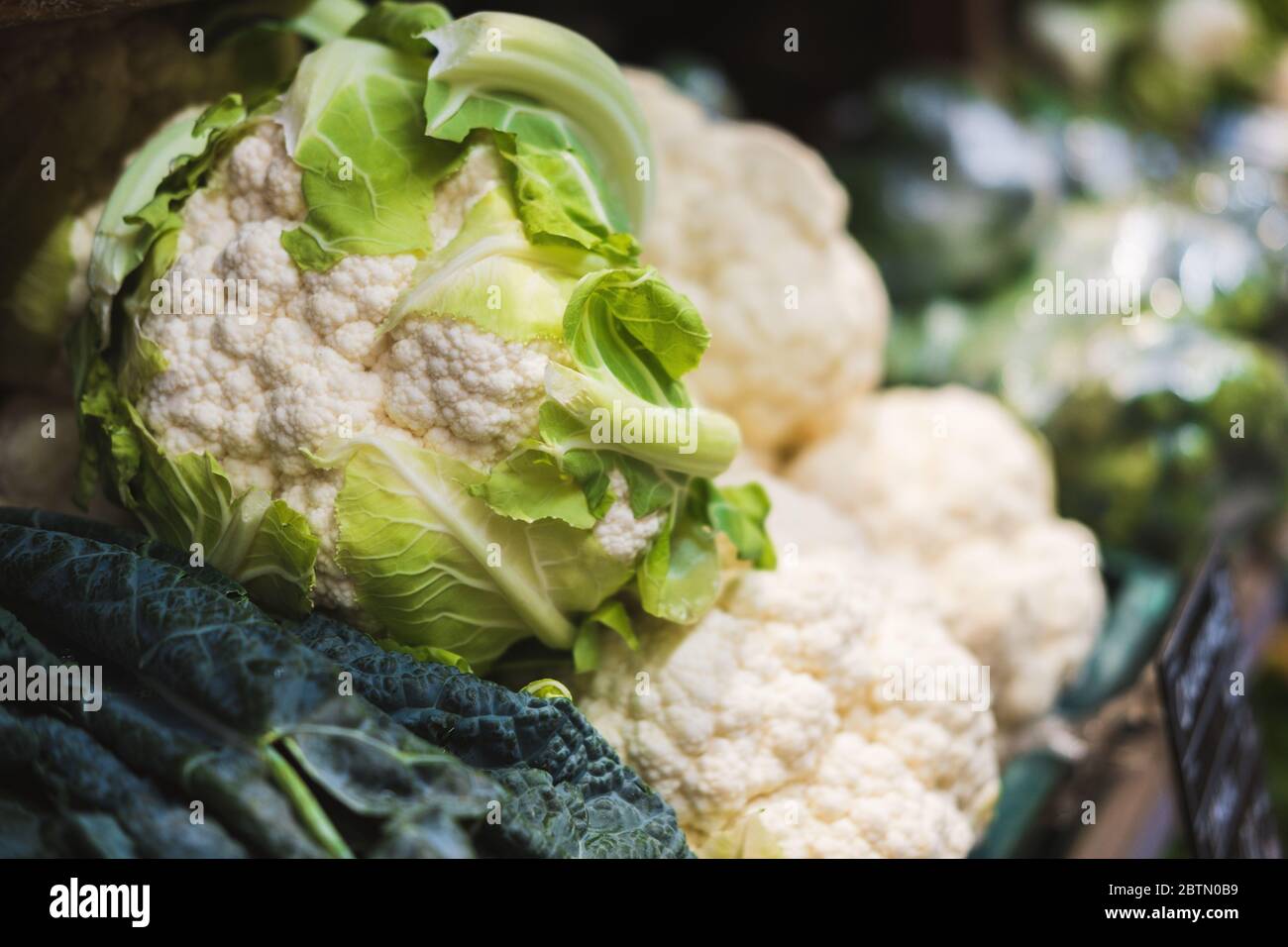 Banner of fresh cauliflower on the counter in a supermarket, market ...