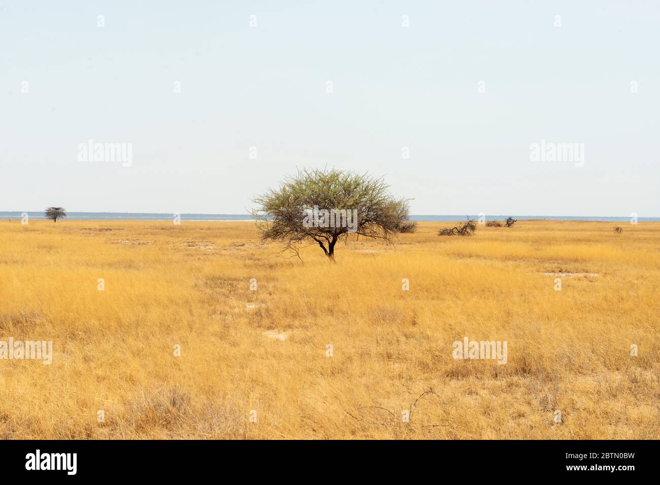 Desert landscape, Namibia Stock Photo - Alamy