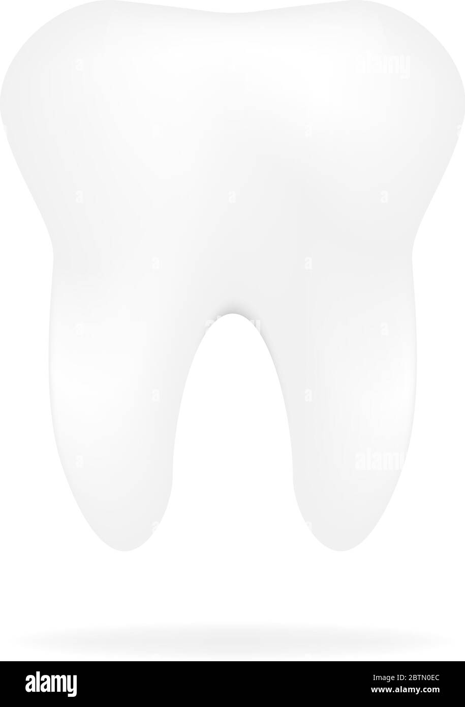 Tooth realistic icon. Dental realistic icons. Teeth in flat and linear ...
