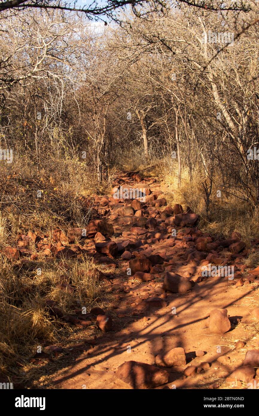 Desert scrubland hi-res stock photography and images - Alamy