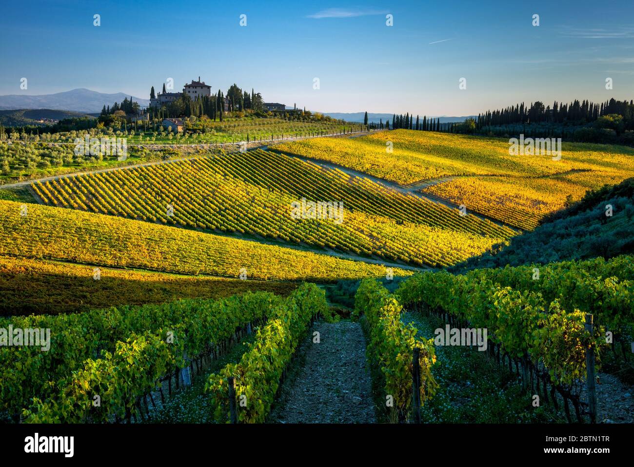 an autumn landscape in the Chianti region of Tuscany hills in the ...