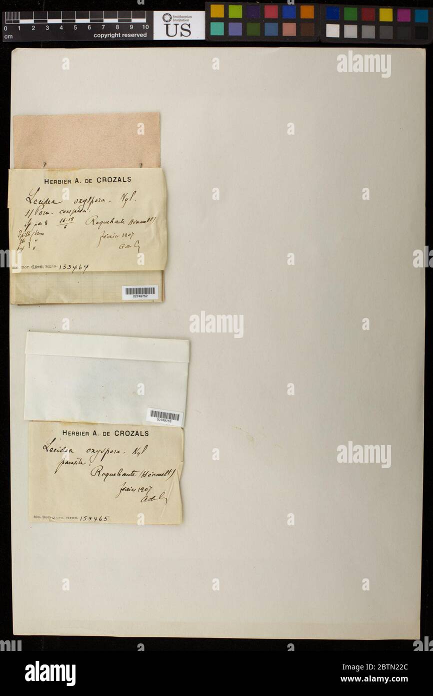 Oxyspora hi-res stock photography and images - Alamy