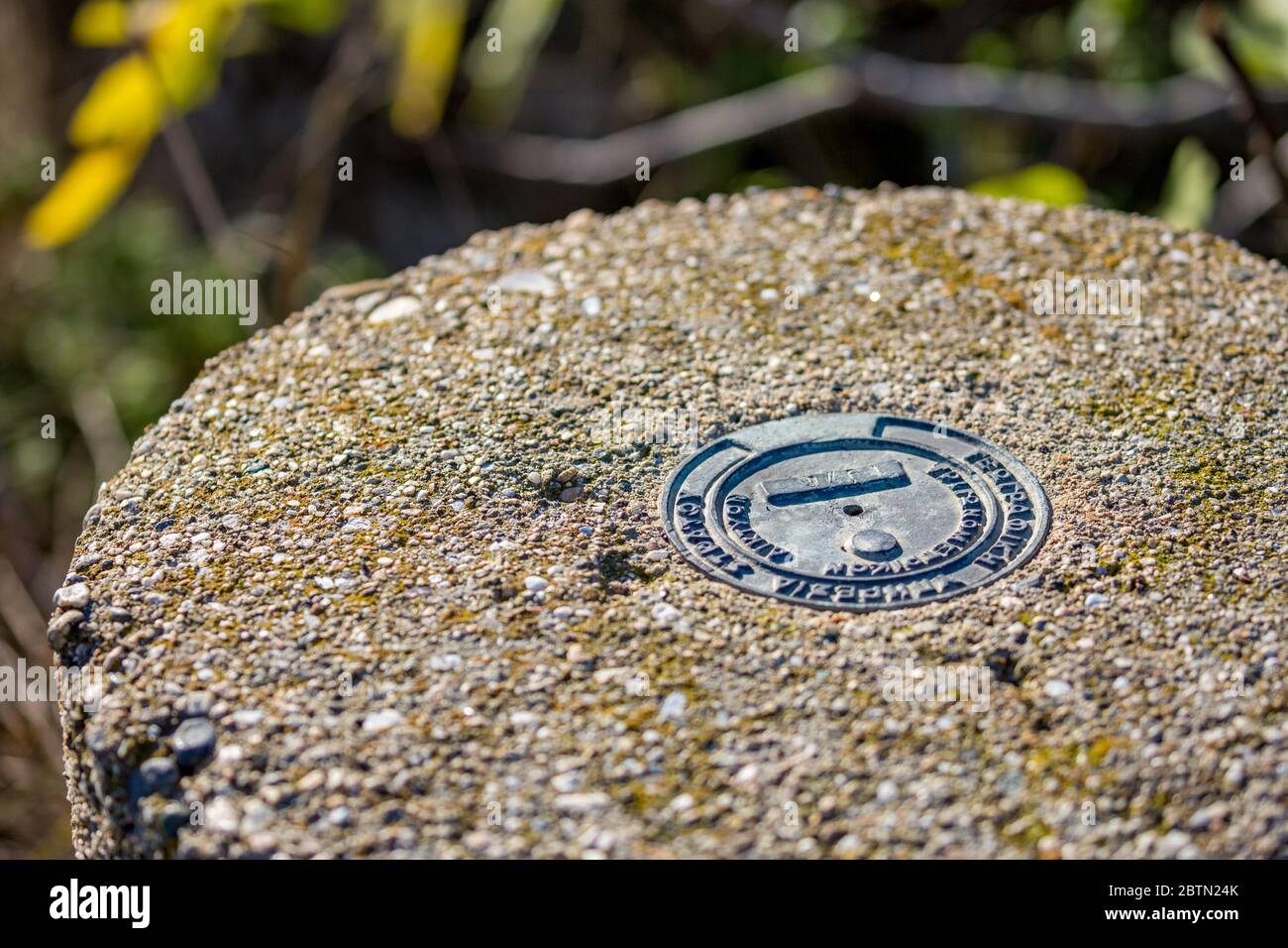Selective focus on metallic plate on concrete pole to indicate geodesic ...