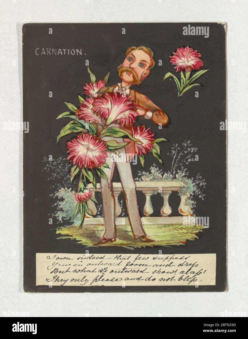 Friendship Greeting Carnation. Research in ProgressStanding man with ...