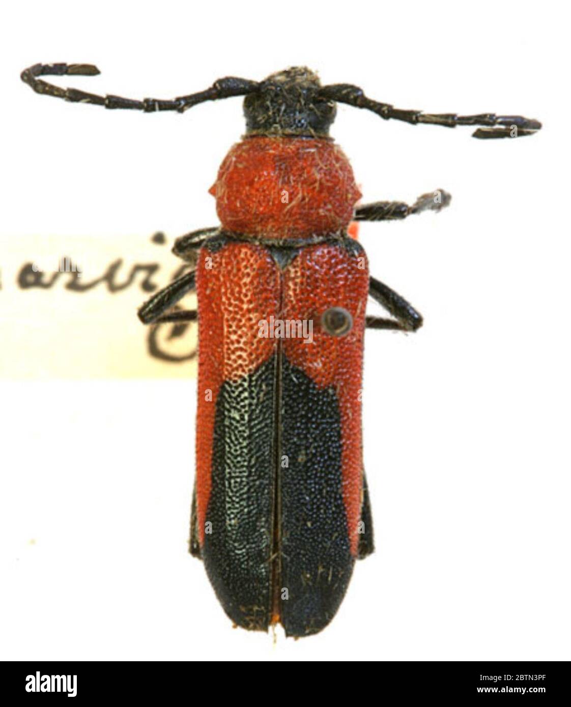 Oxoplus hi-res stock photography and images - Alamy