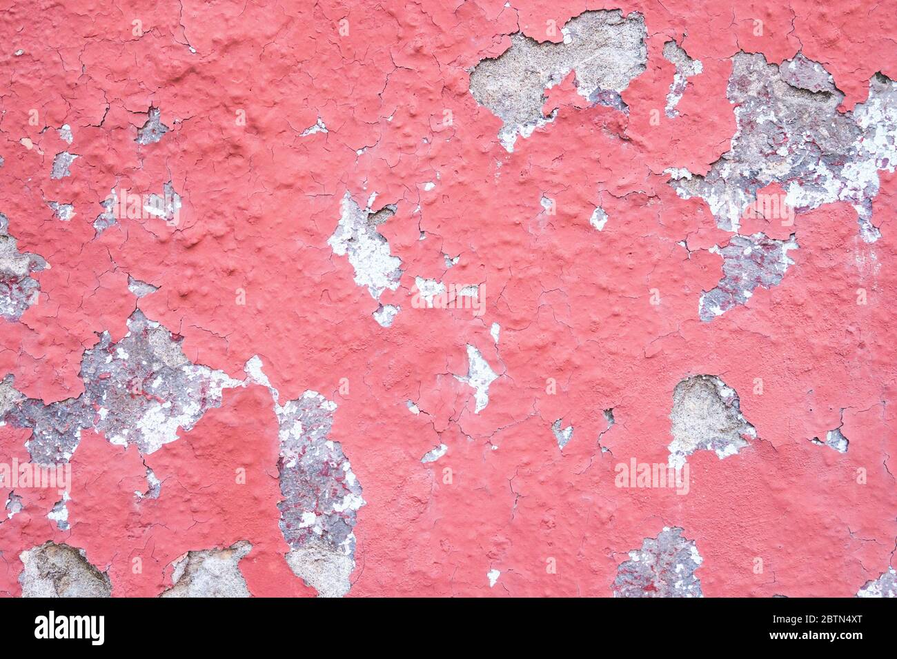 Concrete pink colorful wall surface texture. Abstract grunge bright ...