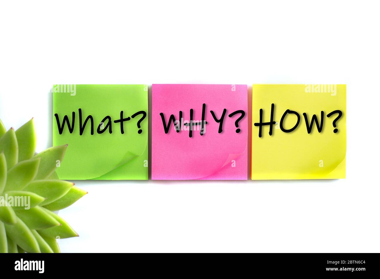 Words What Why How on colored sticky notes and home plant in soft focus ...