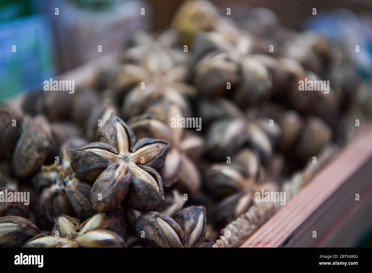 Sacha Inchi Plant High Resolution Stock Photography and Images - Alamy